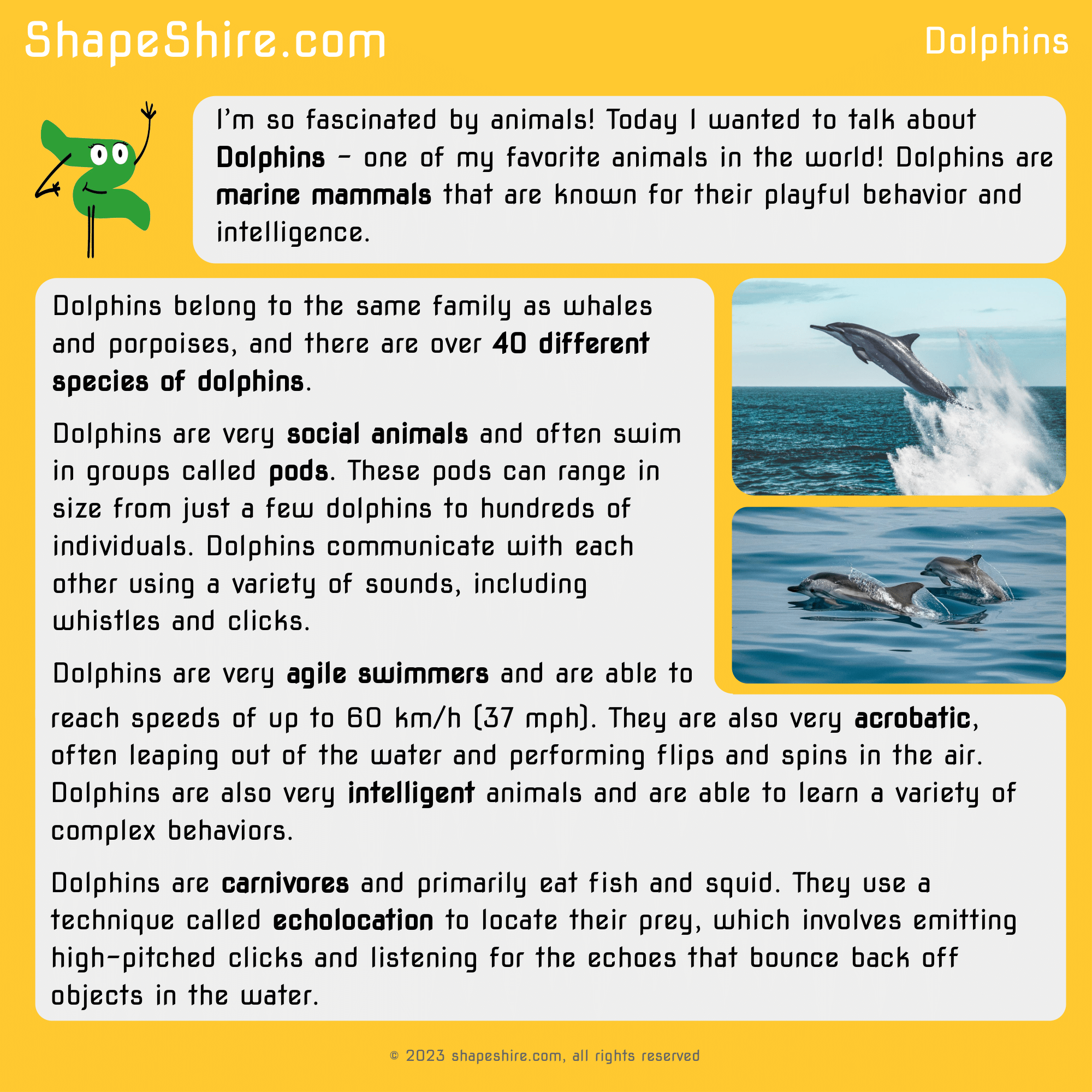 Let’s learn about Dolphins - ShapeShire